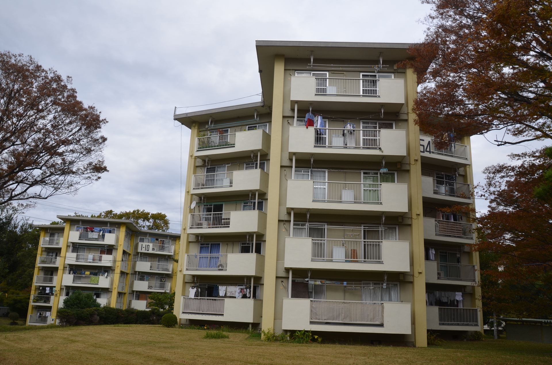 【松戸新京成バス】常盤平団地: 乗り物彼方此方（のりものあちこち）
